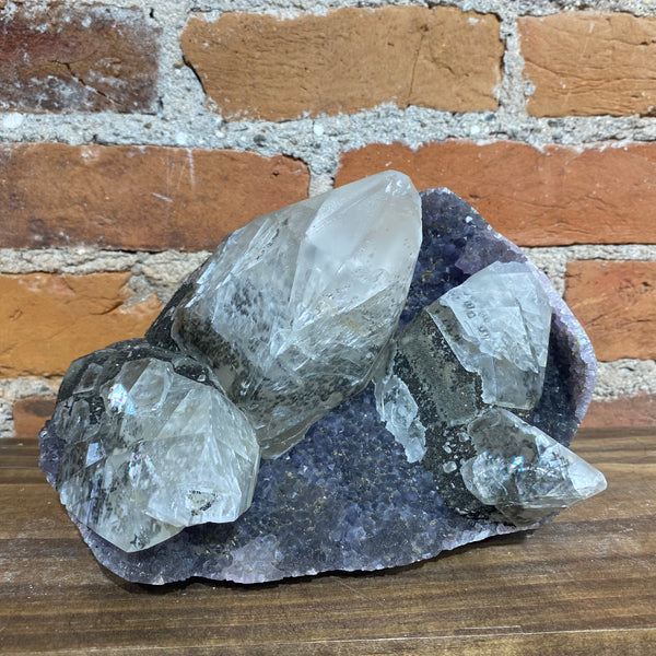 Gallery - Things That Rock