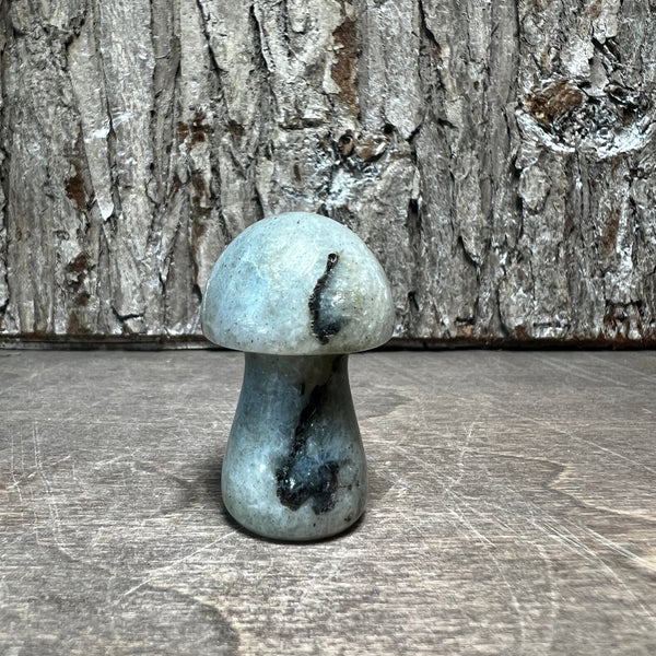 Gemstone Mushroom (Small) - Things That Rock